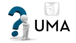 Qué es la UMA, lo nuevo del IMSS - El Blog